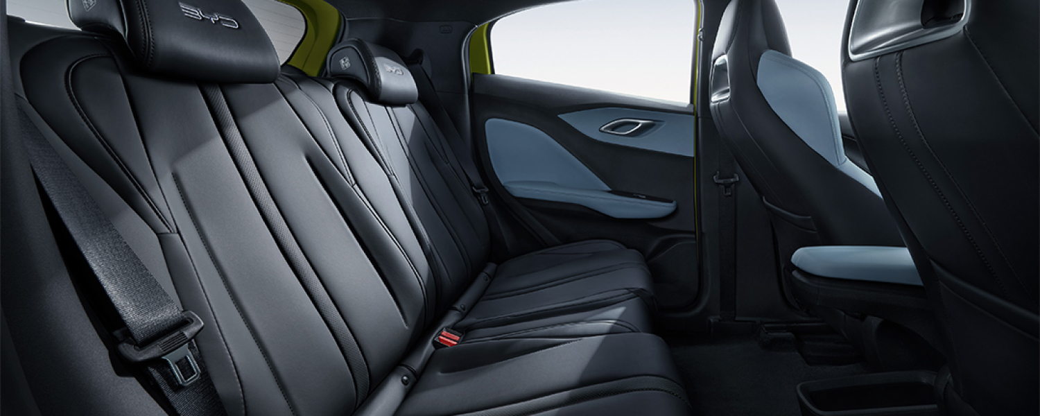 DOLPHIN MINI | Conoce Precios y Versiones en BYD Vallejo